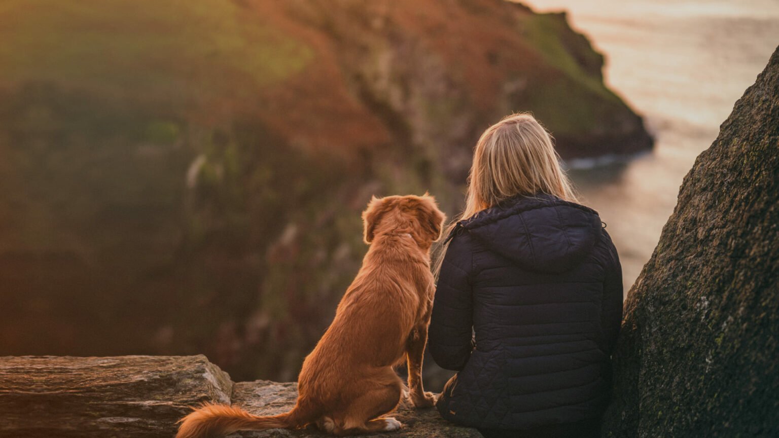 Pet Euthanasia | Pet Euthanasia At Home | The Kindest Goodbye