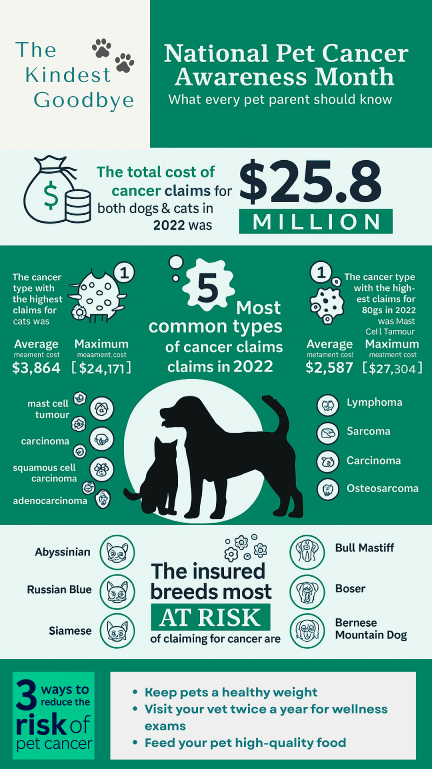 Dog Cancer in the UK: The Most Common Types